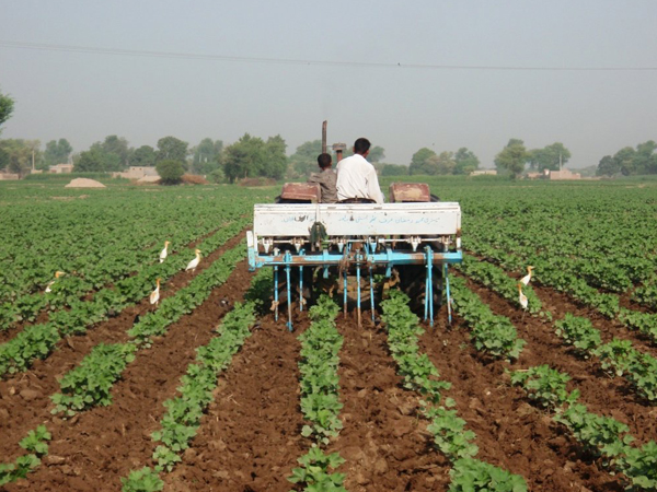 Commander Group | Commander Agro