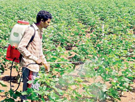 Commander Group | Commander Agro