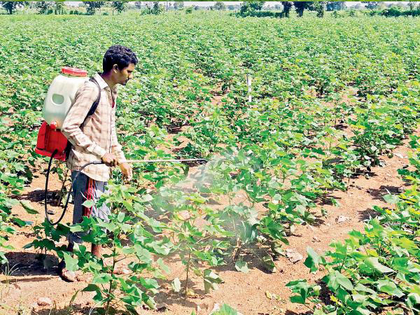 Commander Group | Commander Agro