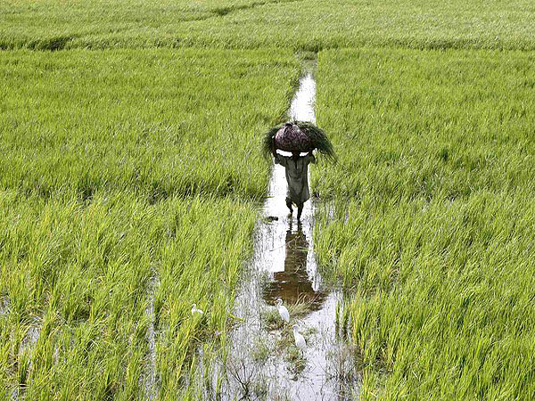 Commander Group | Commander Agro