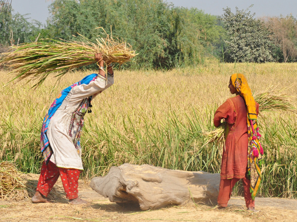 Commander Group | Commander Agro